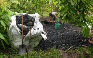 Biochar & Bioresource – India BioChar and BioResources Network